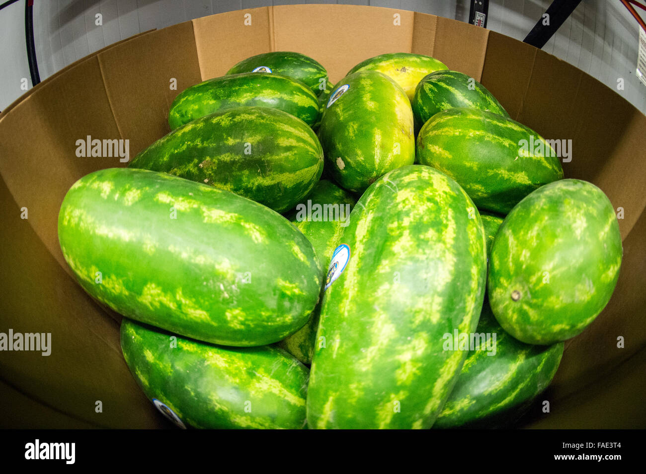 Box filled with Watermelon Stock Photo - Alamy