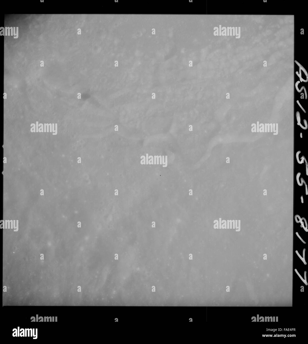 This is the complete photographic archive from Apollo 12, which shows ...