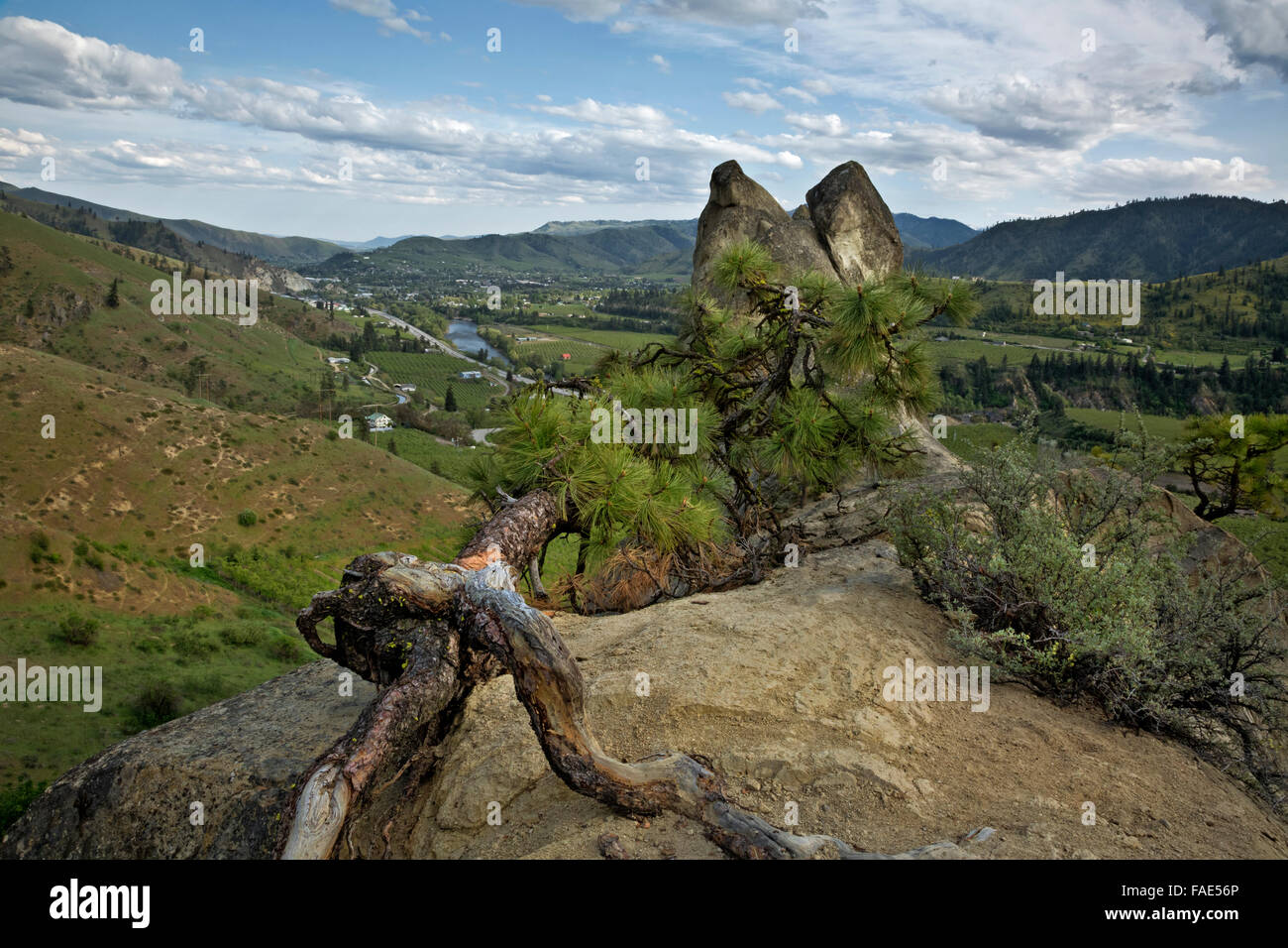 Peshastin pinnacles state park hi-res stock photography and images - Alamy
