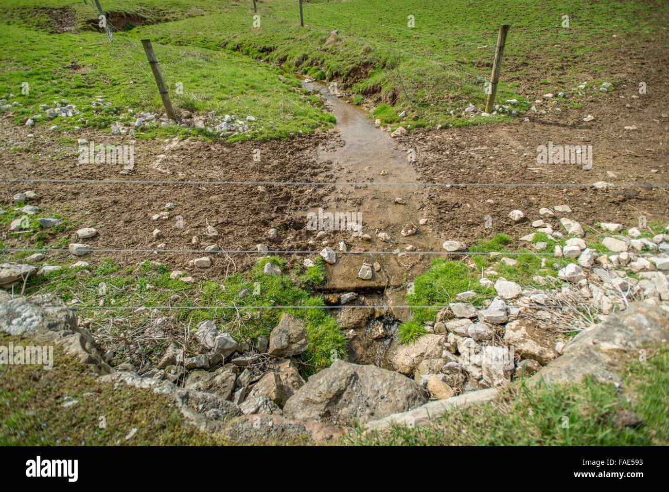 Farm crossing hi-res stock photography and images - Alamy