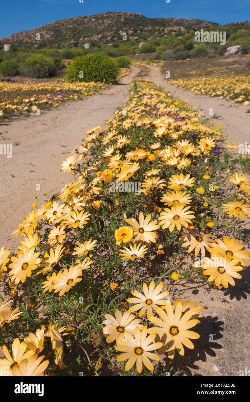 Oudrif farm hi-res stock photography and images - Alamy