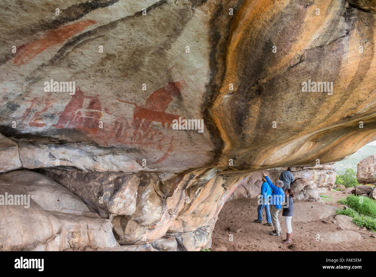 San rock art, Cederberg mountains, Western Cape, South Africa Stock ...