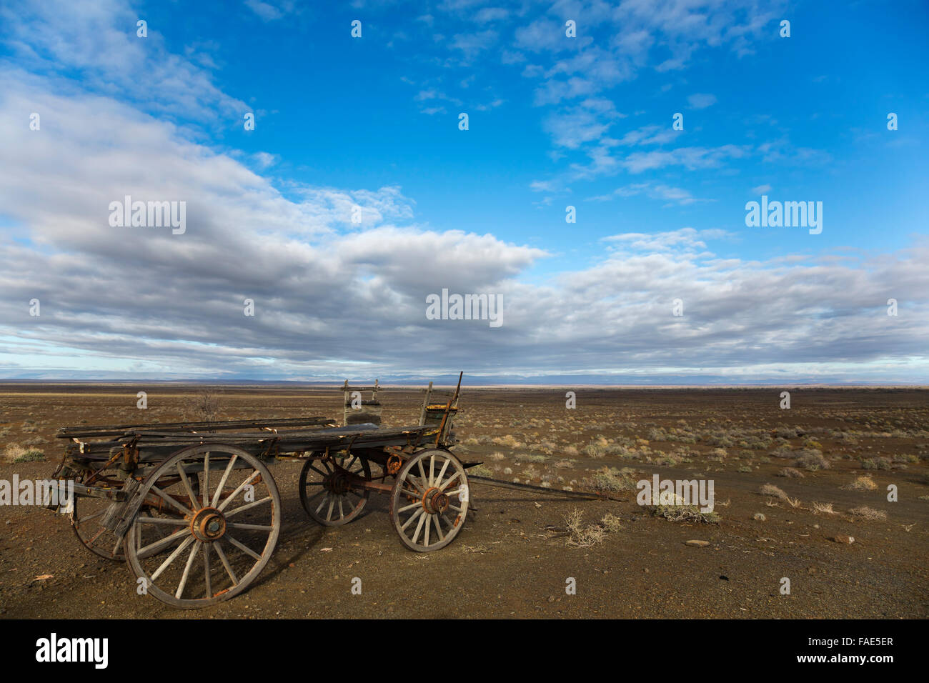 Tankwa karoo national park hi-res stock photography and images - Alamy