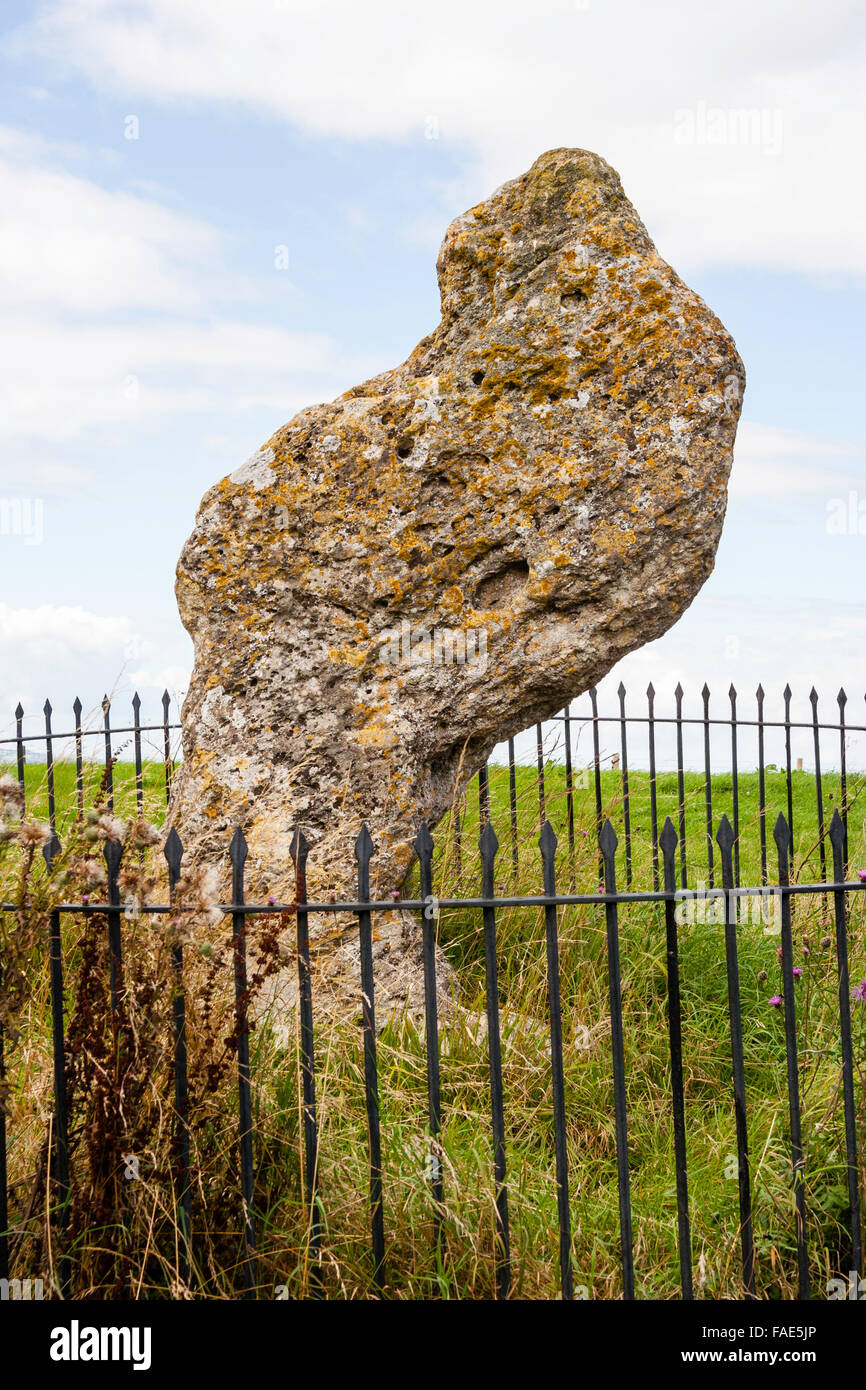 Neolithic Man Stock Photos & Neolithic Man Stock Images - Alamy