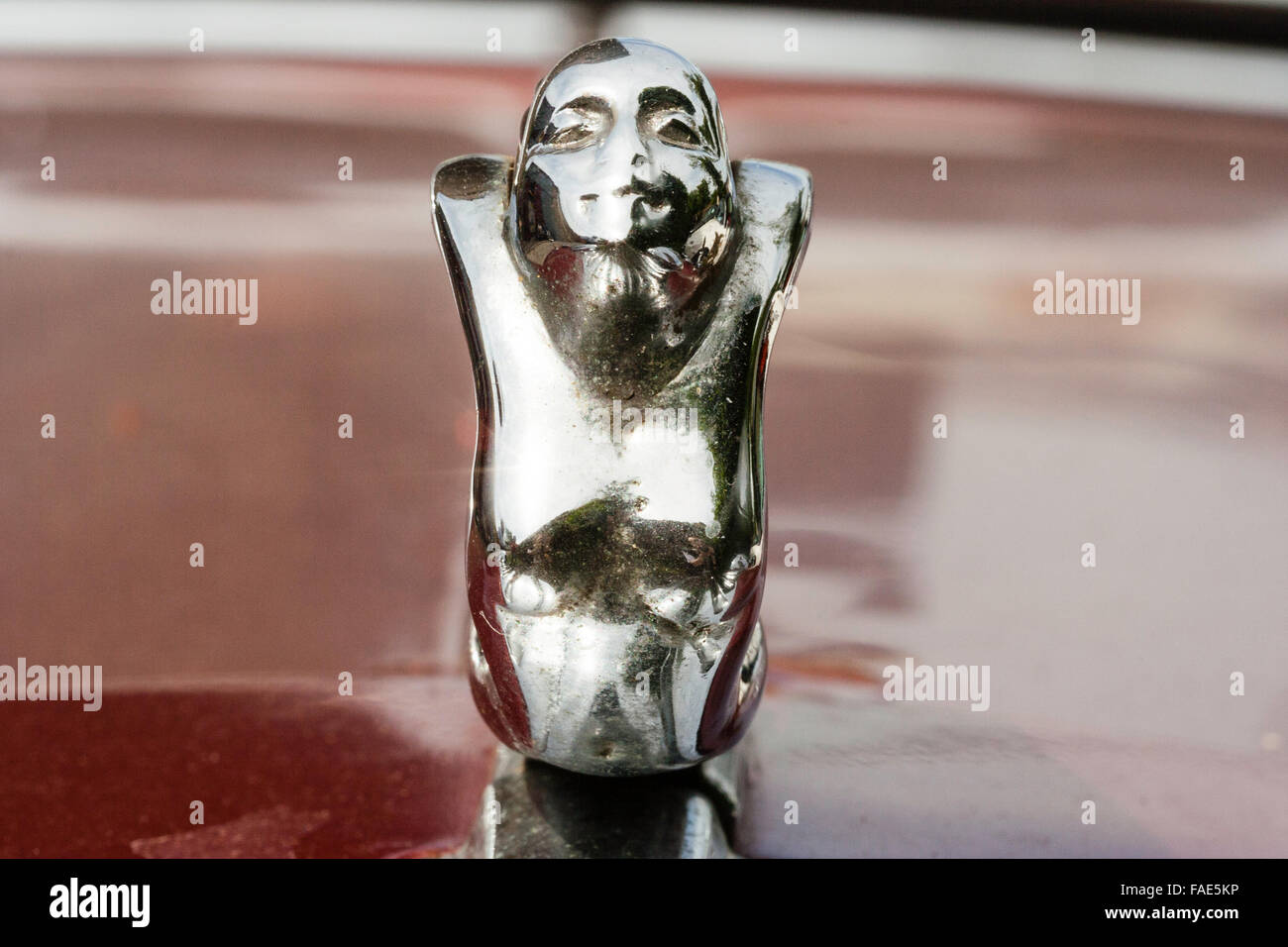 Triumph Dolomite 1939 classic vintage car. Front badge on bonnet, hood ...