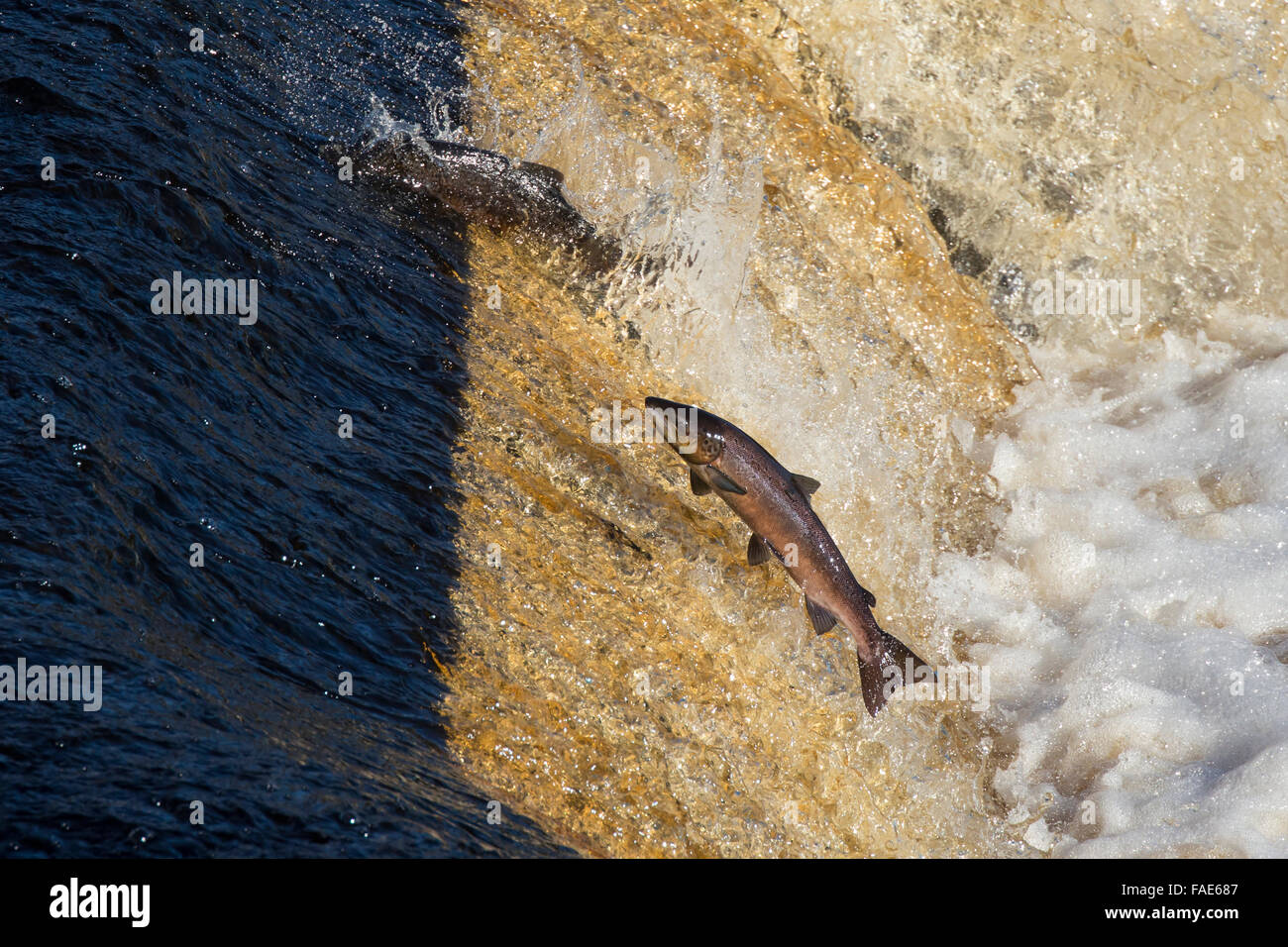 Upstream Weir High Resolution Stock Photography and Images - Alamy