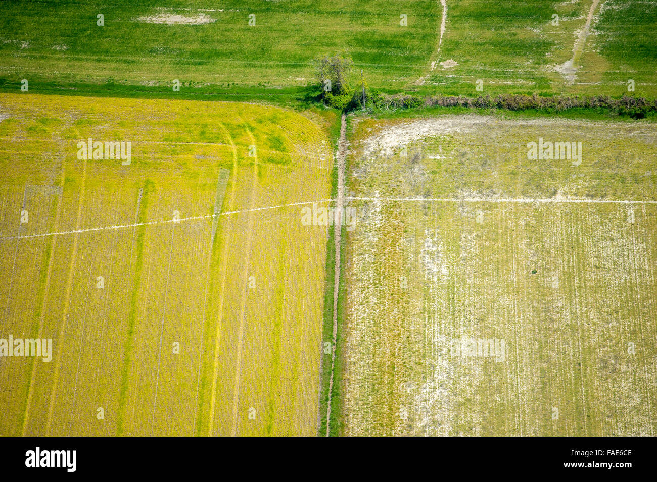 Aerial of cover crops Stock Photo - Alamy