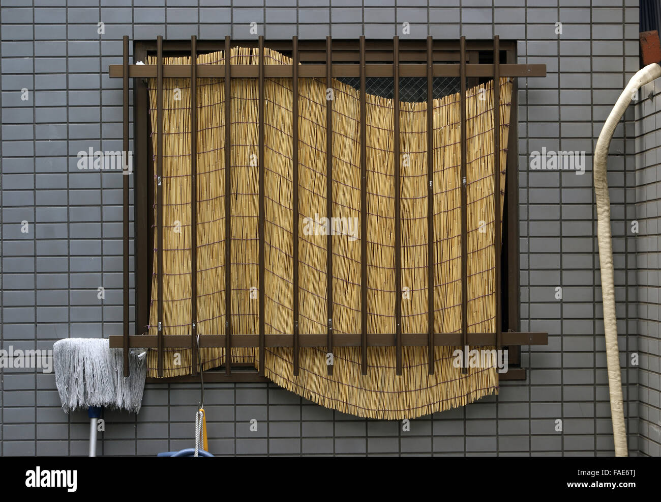 Window matting store