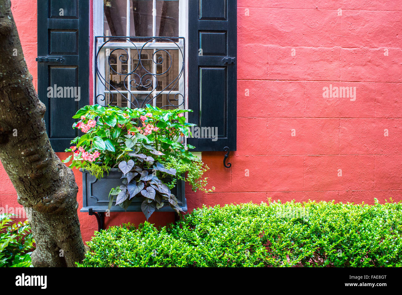 Window Flower Pot Stock Photo - Alamy