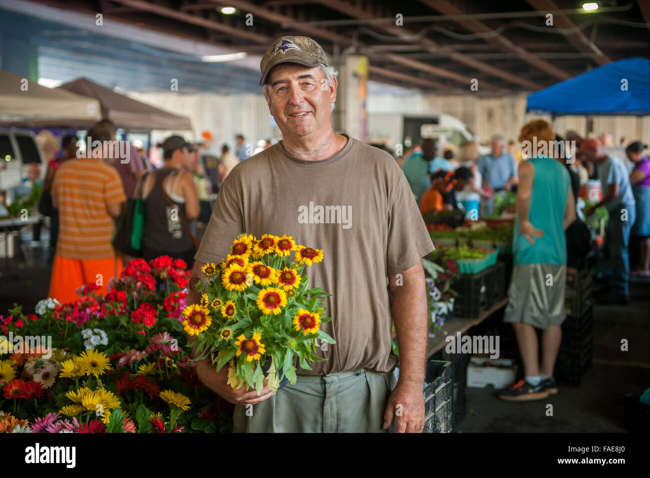Man selling plants at a local farmers market Stock Photo - Alamy
