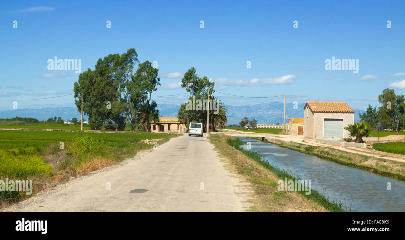 road through the rice fields at Ebro Delta. Spain Stock Photo - Alamy