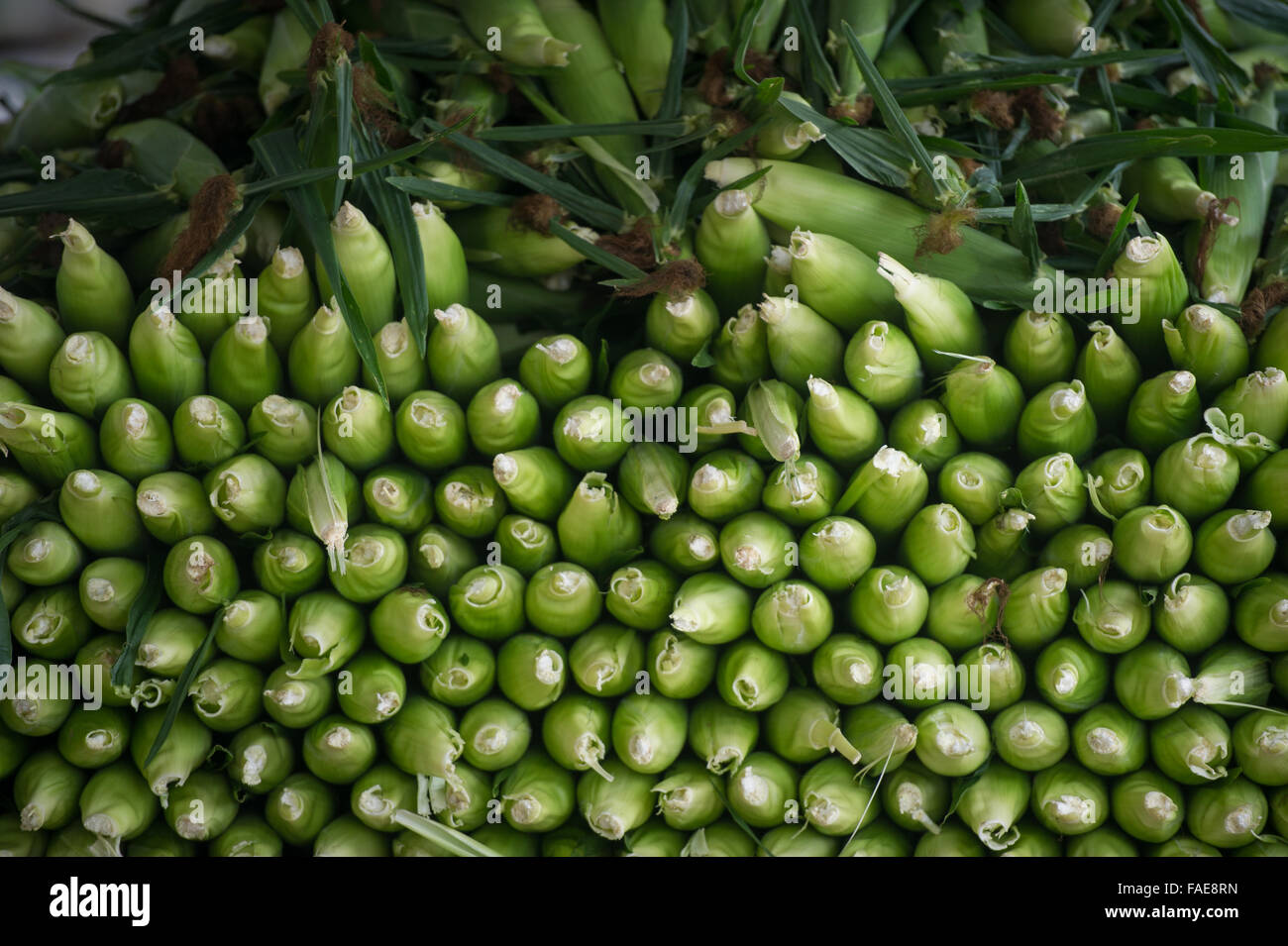 Corn stack hi-res stock photography and images - Alamy