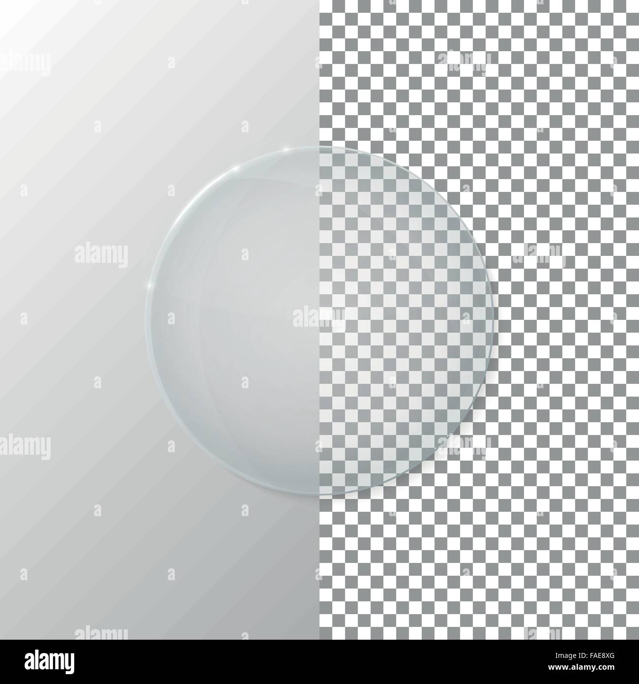 Vector illustration of a transparent glass circle Stock Vector Image ...