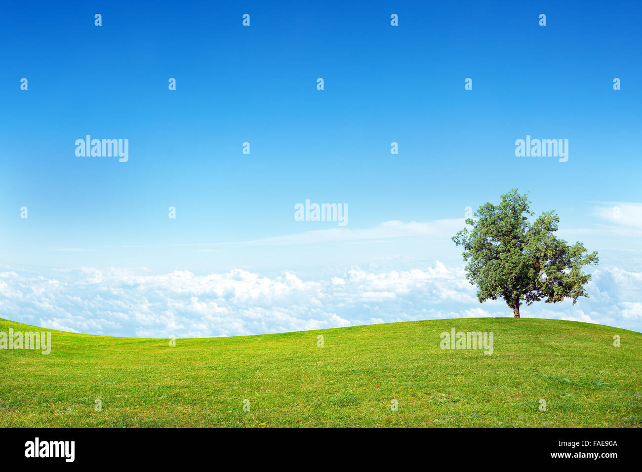 Summer landscape picture Stock Photo - Alamy