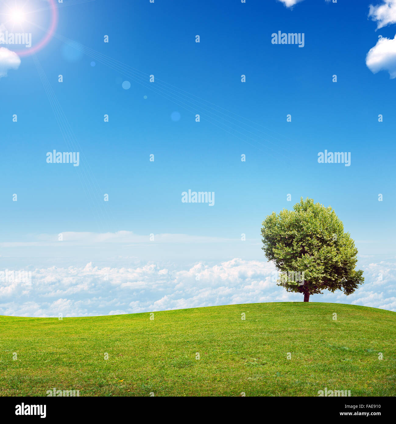 Summer landscape picture Stock Photo - Alamy