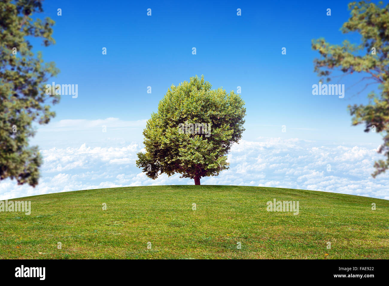 Summer landscape picture Stock Photo - Alamy
