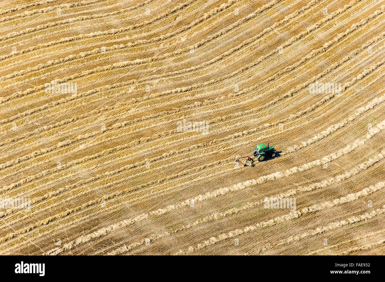 Aerial view of a farmer raking straw Stock Photo - Alamy