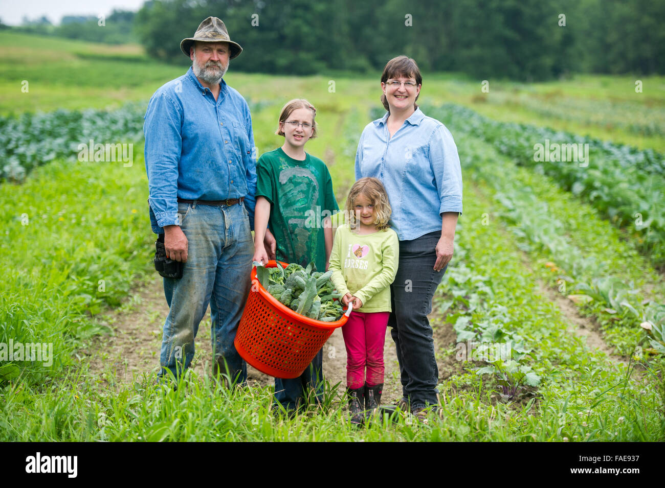 Family of farmers posed in a broccoli field Stock Photo - Alamy