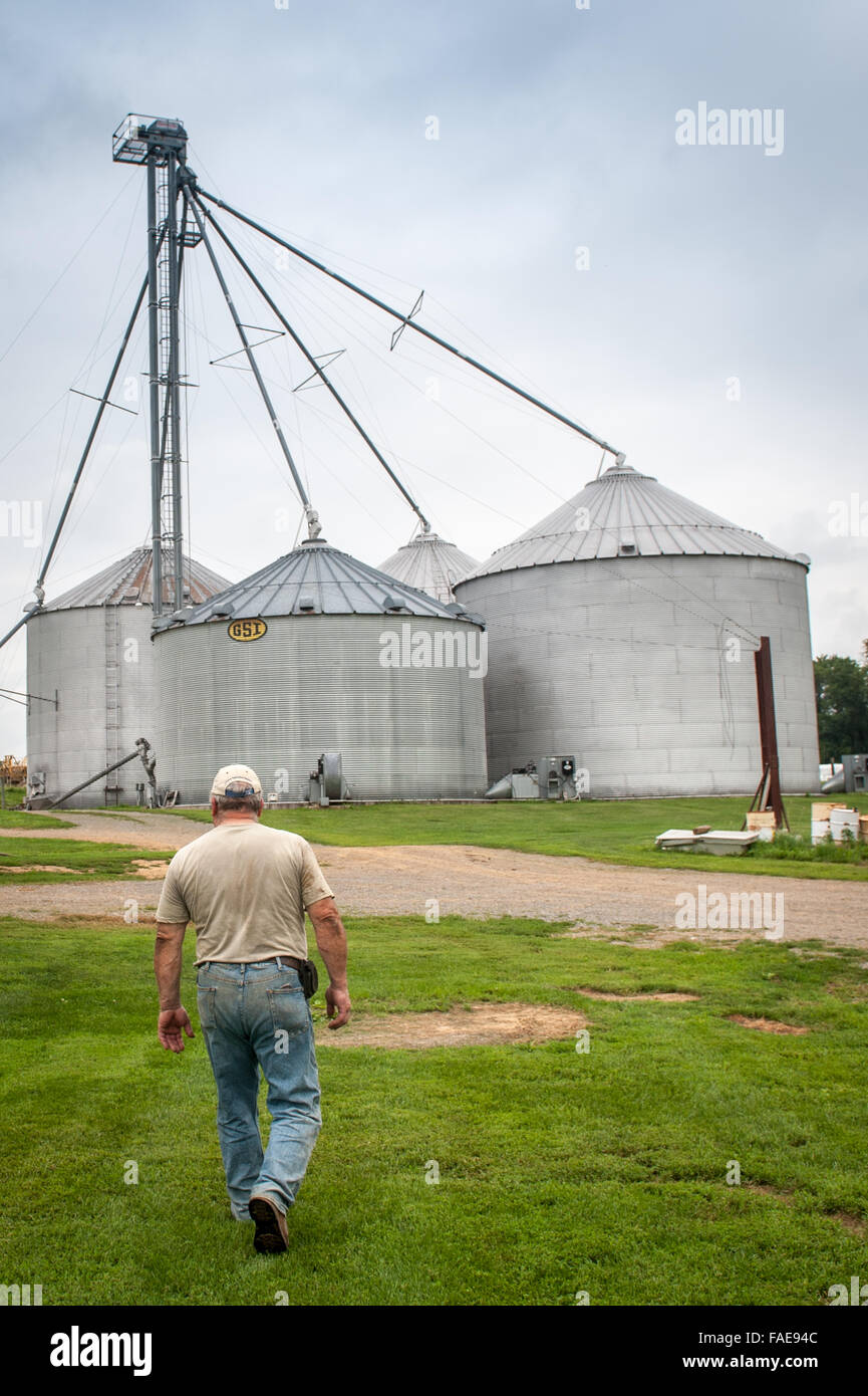 A farmer walking towards a row of silos Stock Photo - Alamy