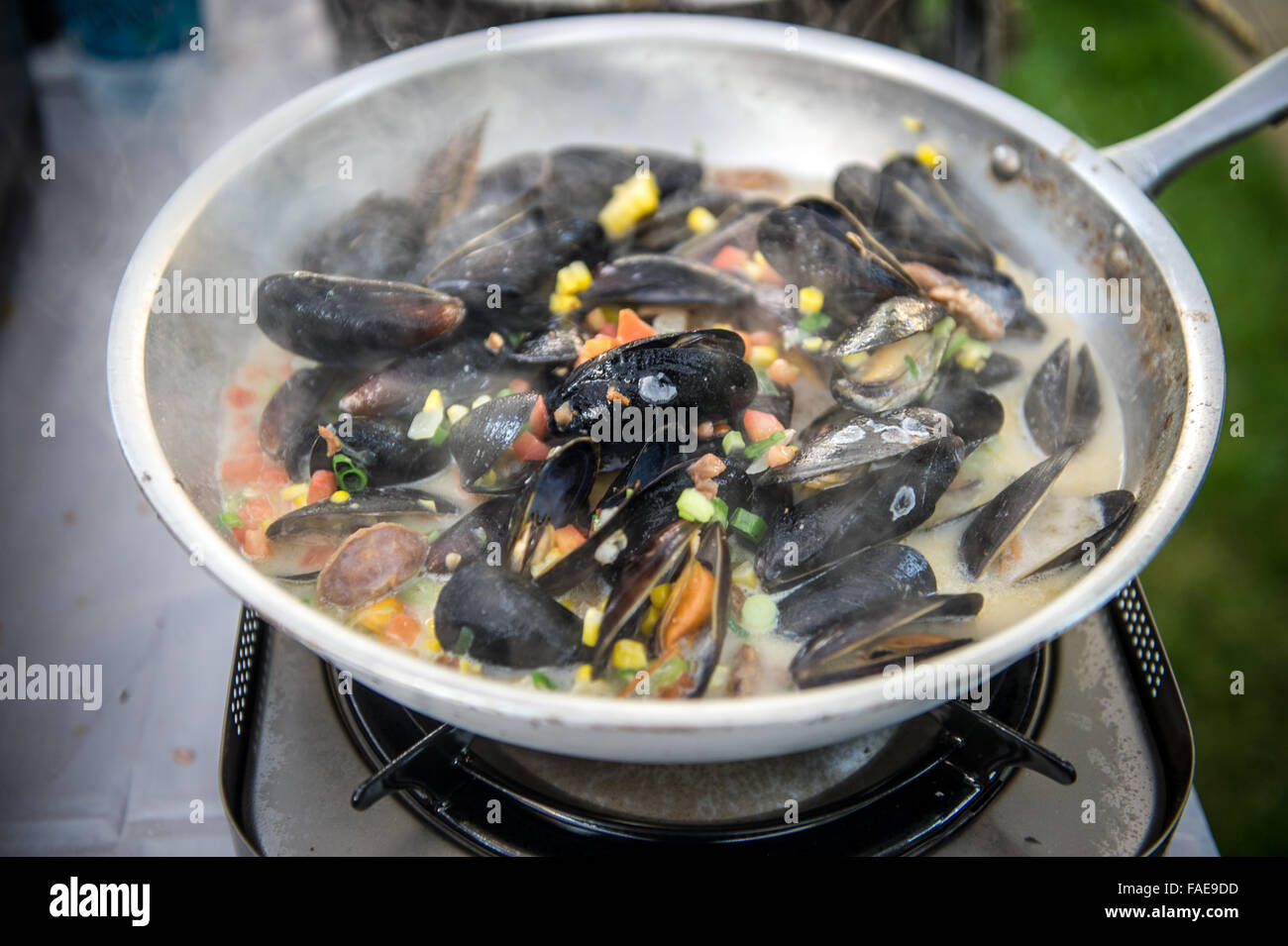 No shellfish hi-res stock photography and images - Alamy