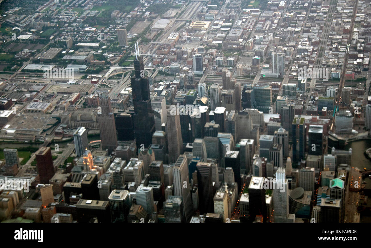 Beautiful eye bird hi-res stock photography and images - Alamy