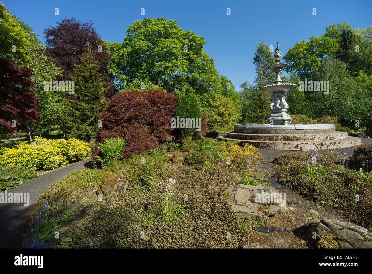 Hawick scotland teviot hi-res stock photography and images - Alamy