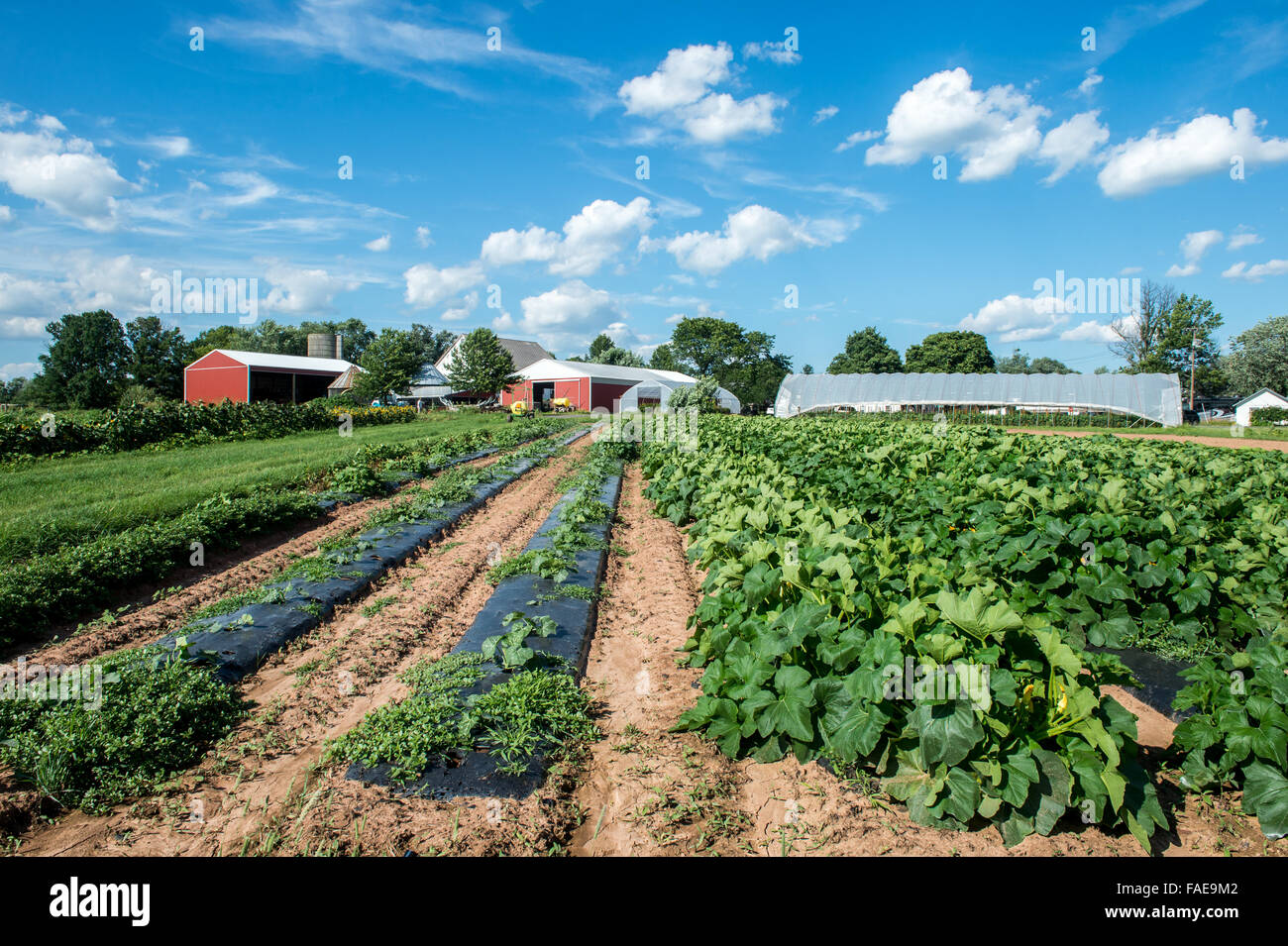 Scenic farm Landscape in Pennsylvania Stock Photo - Alamy