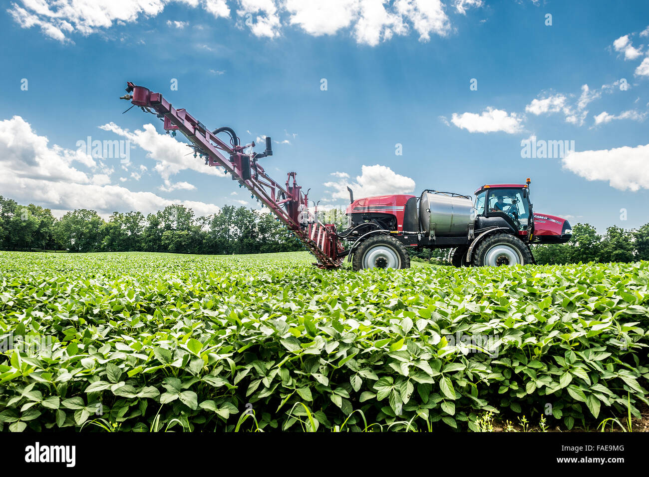 Tractor getting ready to spray a crop of soybeans with pesticides Stock ...