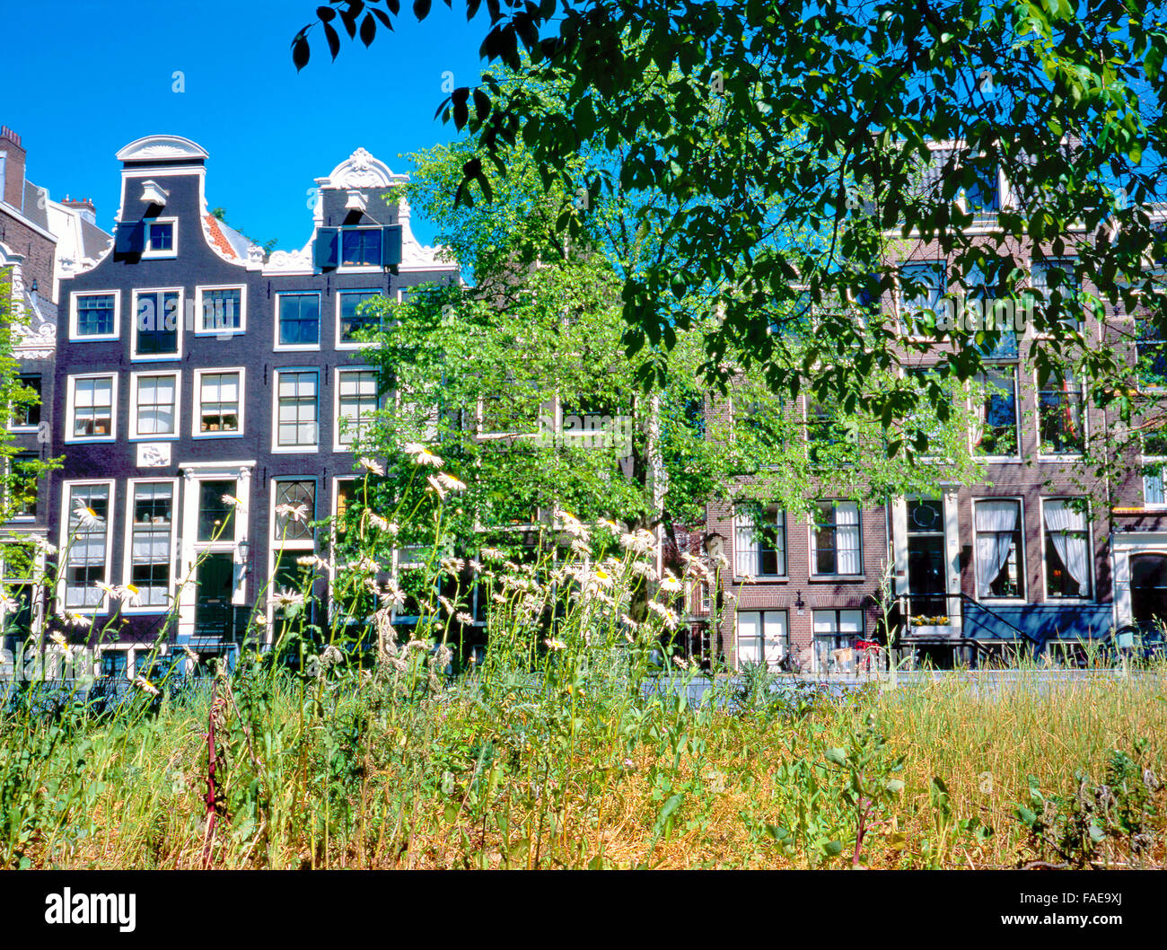 Typical Dutch houses,with stepped gables and very strange colors, in ...