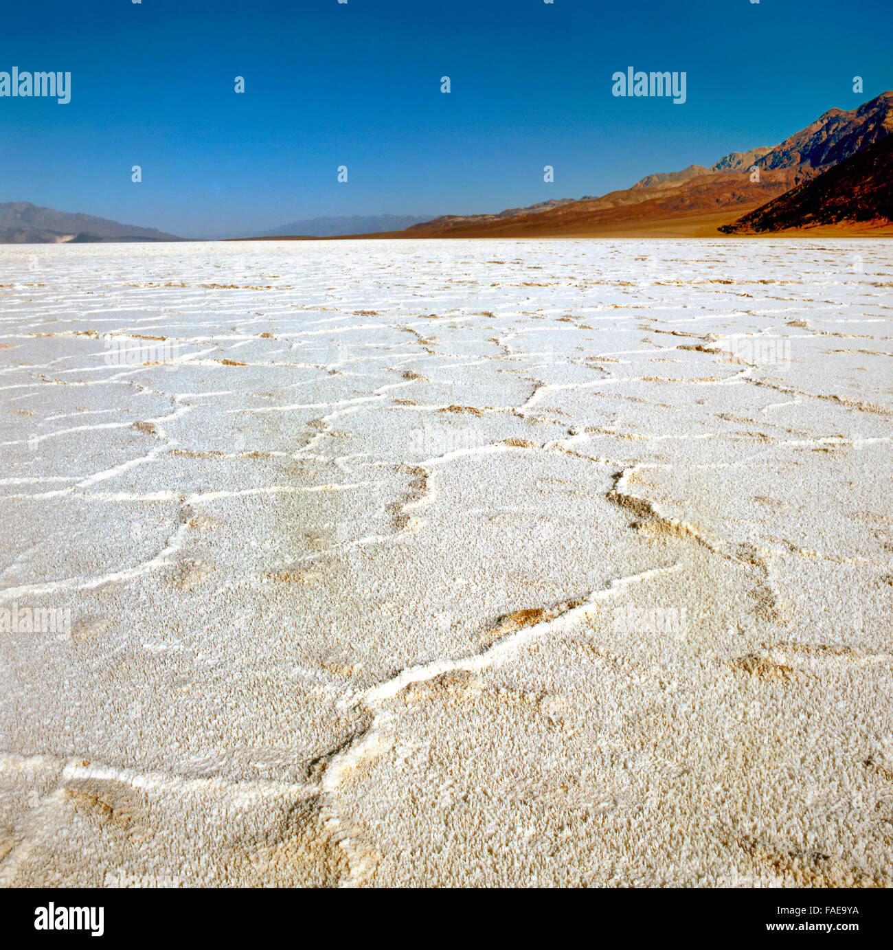 Death valley below sea level hi-res stock photography and images - Alamy