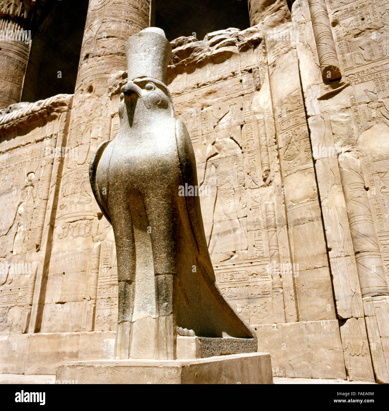 Horus statue at the Horus Temple in Edfu / Idfoe, Egypt Stock Photo - Alamy