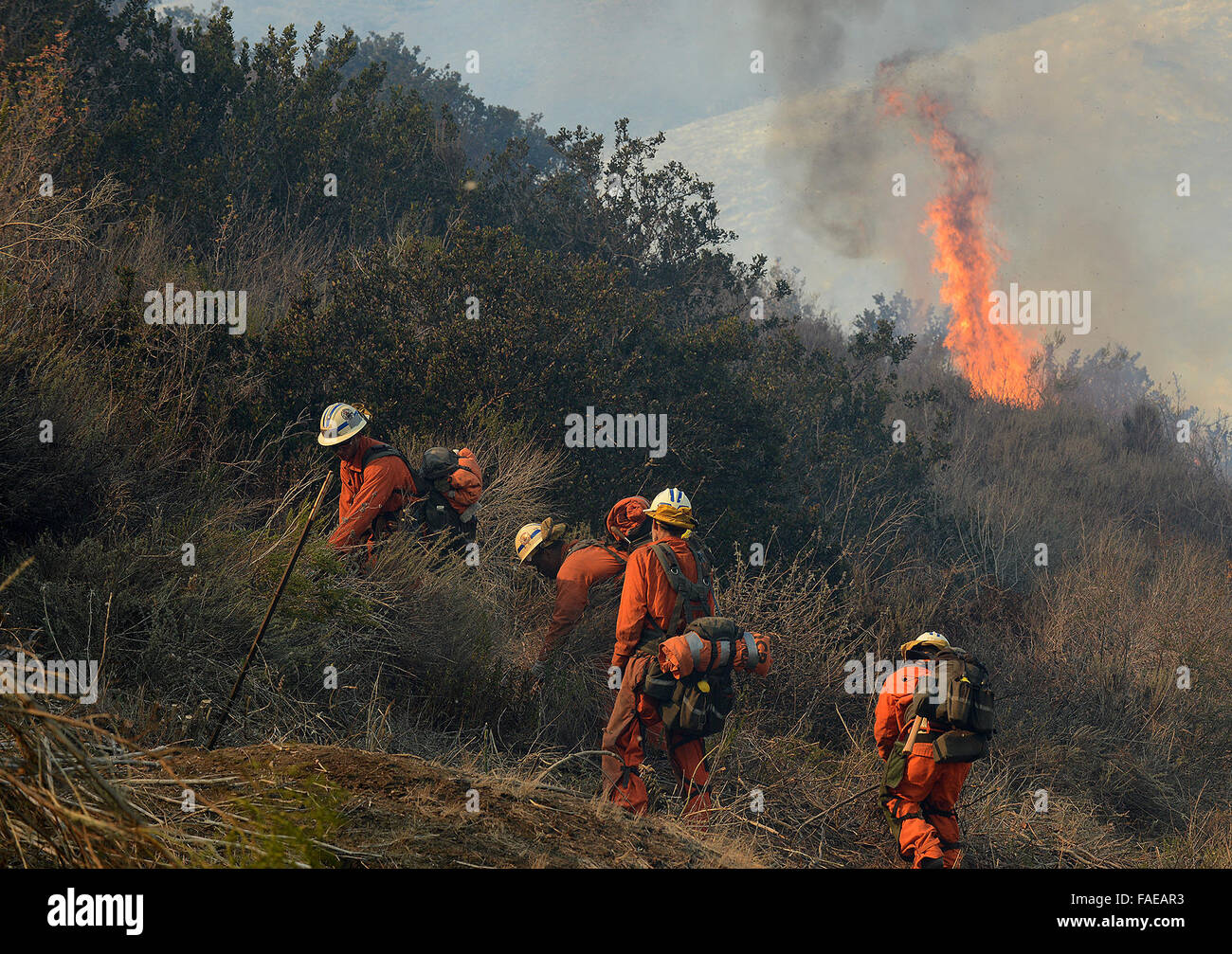 Inmate fire crew brush hi-res stock photography and images - Alamy