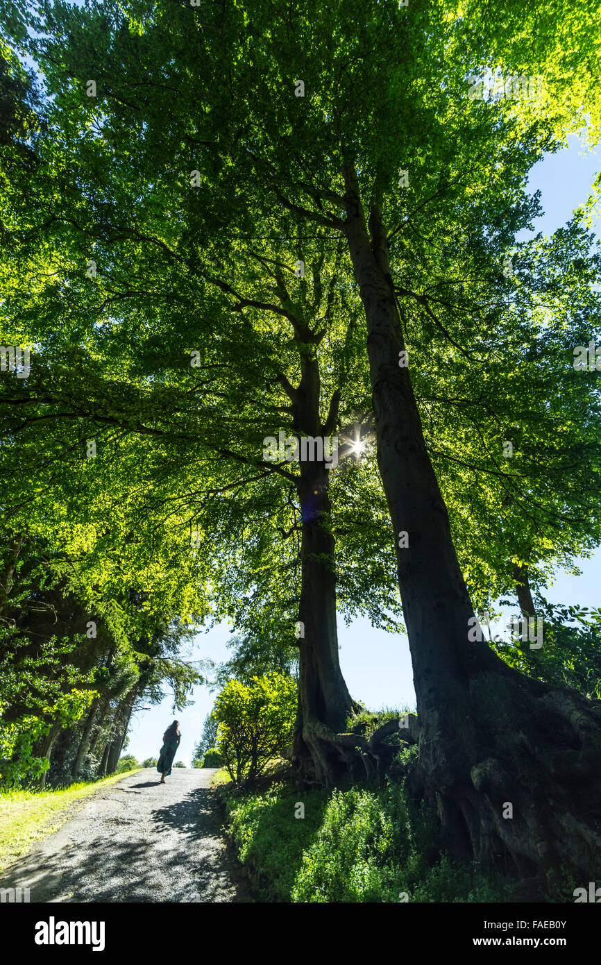 Hawick scottish borders wilton park hi-res stock photography and images ...