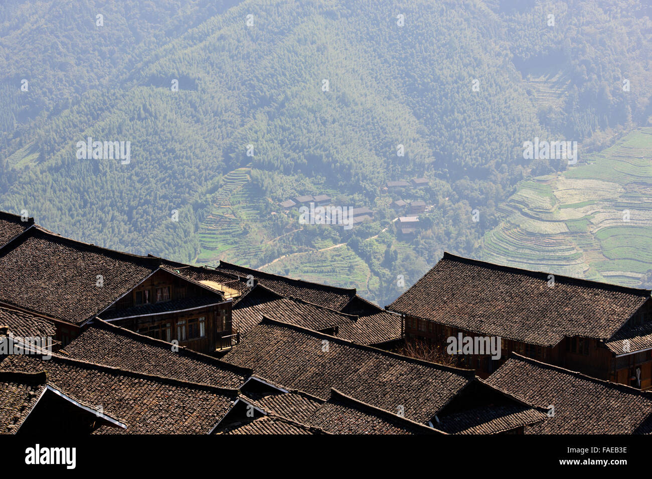 Longji Rice Terraces,Dazhai Villages, Surrounding Area,Rice Crops ...