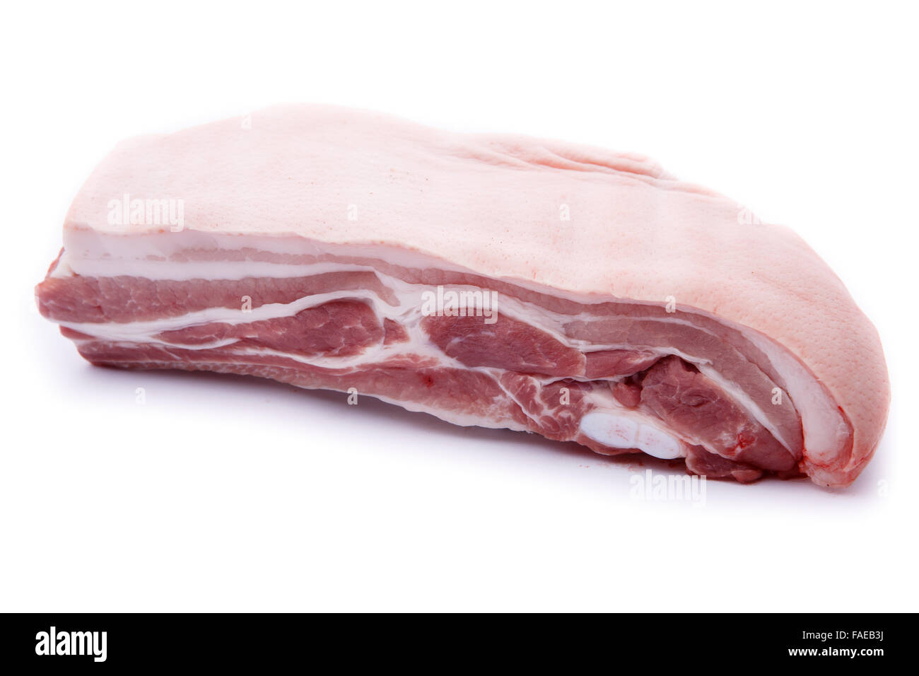 Cross section of belly hi-res stock photography and images - Alamy