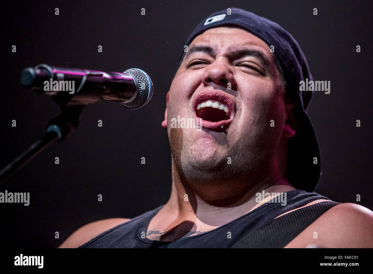 Detroit, Michigan, USA. 19th Dec, 2015. ROME RAMIREZ of SUBLIME with ...