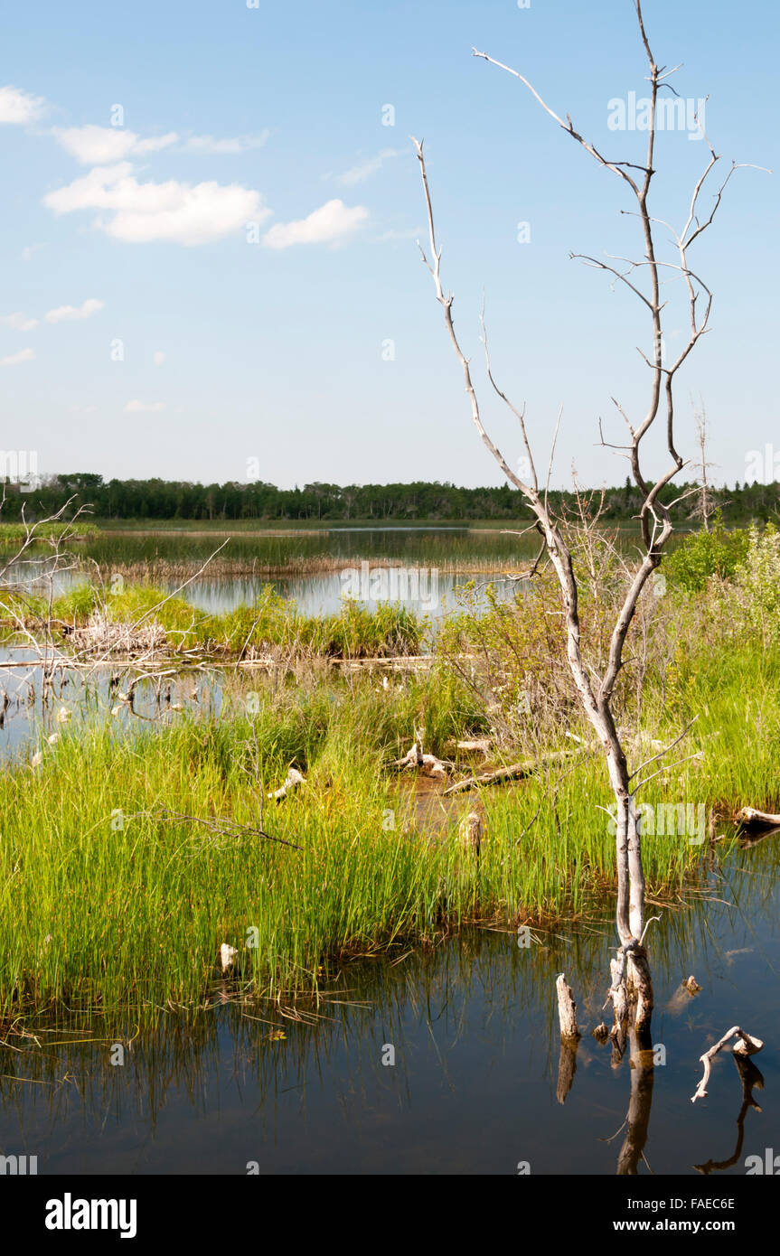 Babb hi-res stock photography and images - Alamy