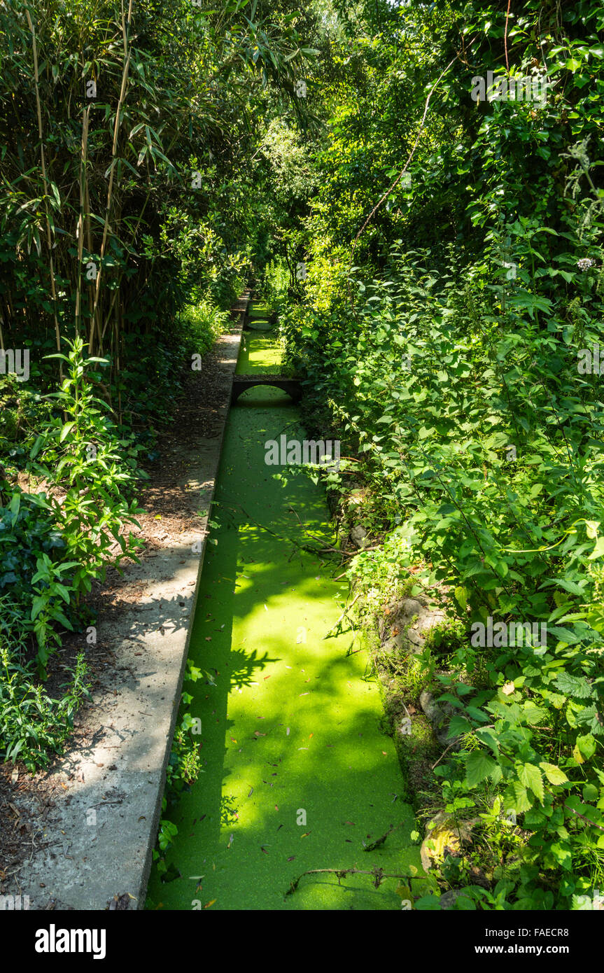 Channel Islands, Jersey - Samarès Manor botanical gardens Stock Photo ...