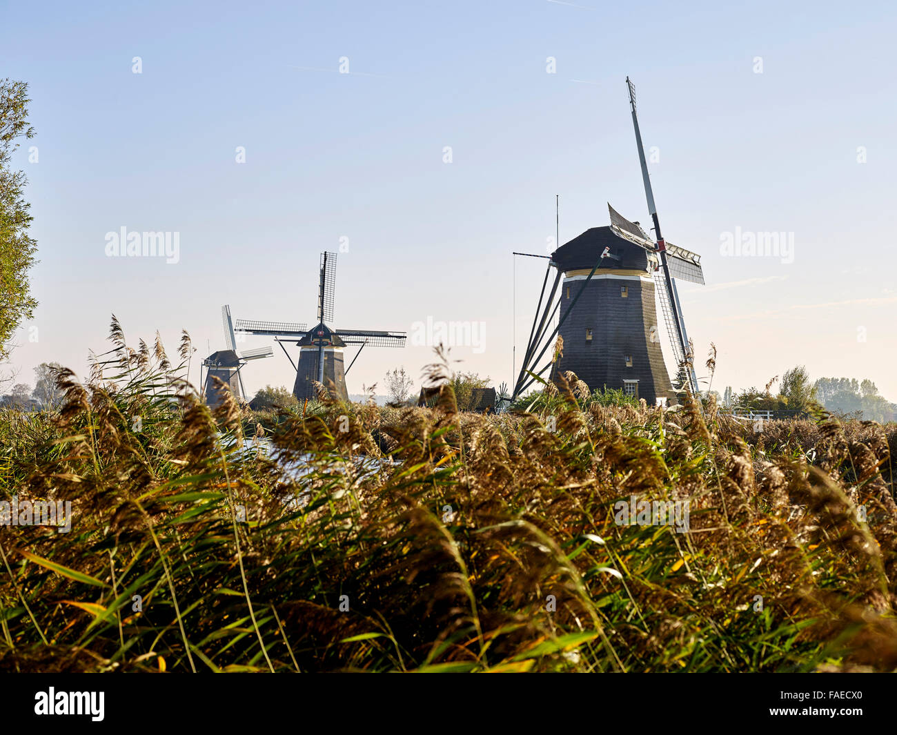 Polder mills hi-res stock photography and images - Alamy