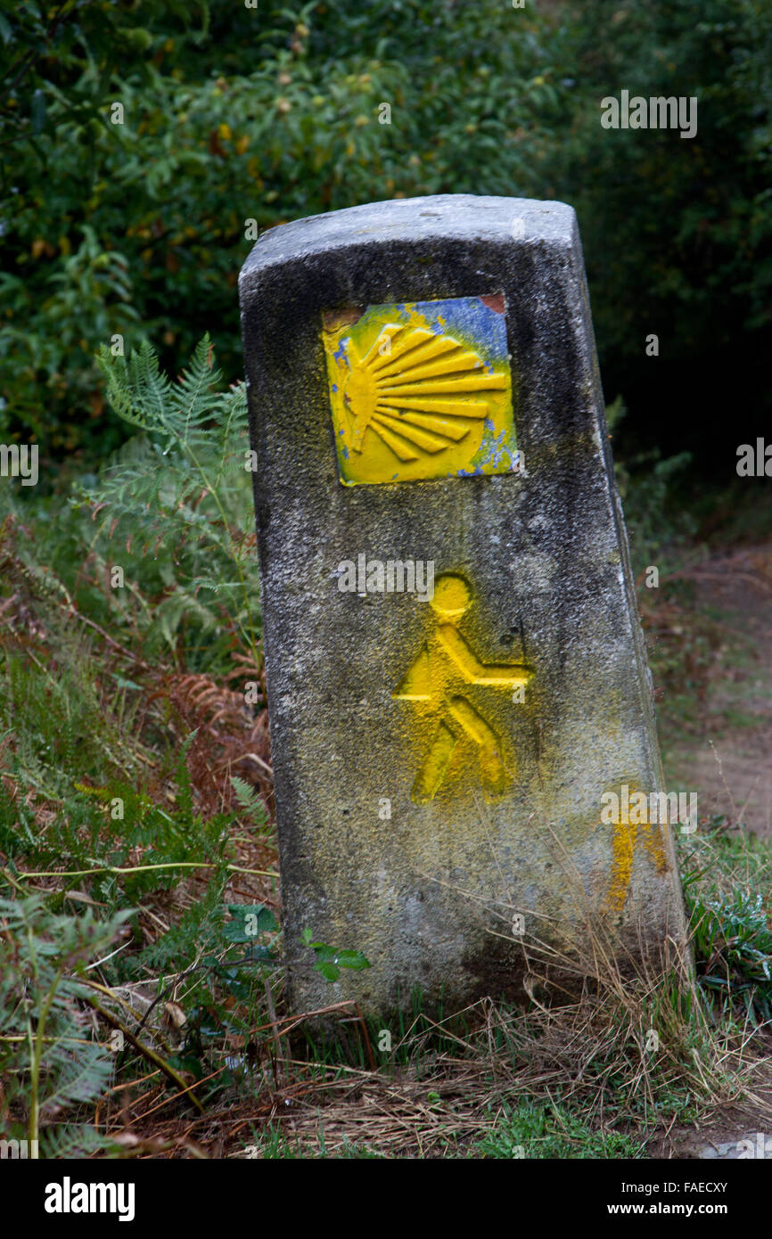 Camino pilgrim route marker on the Camino Francis of the Camino to ...