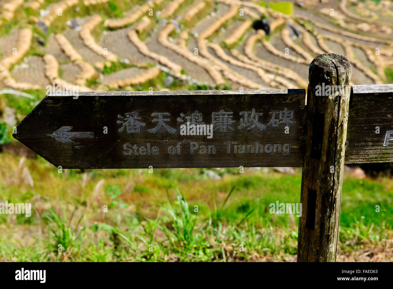 Longji Rice Terraces,Dazhai Villages, Surrounding Area,Rice Crops ...