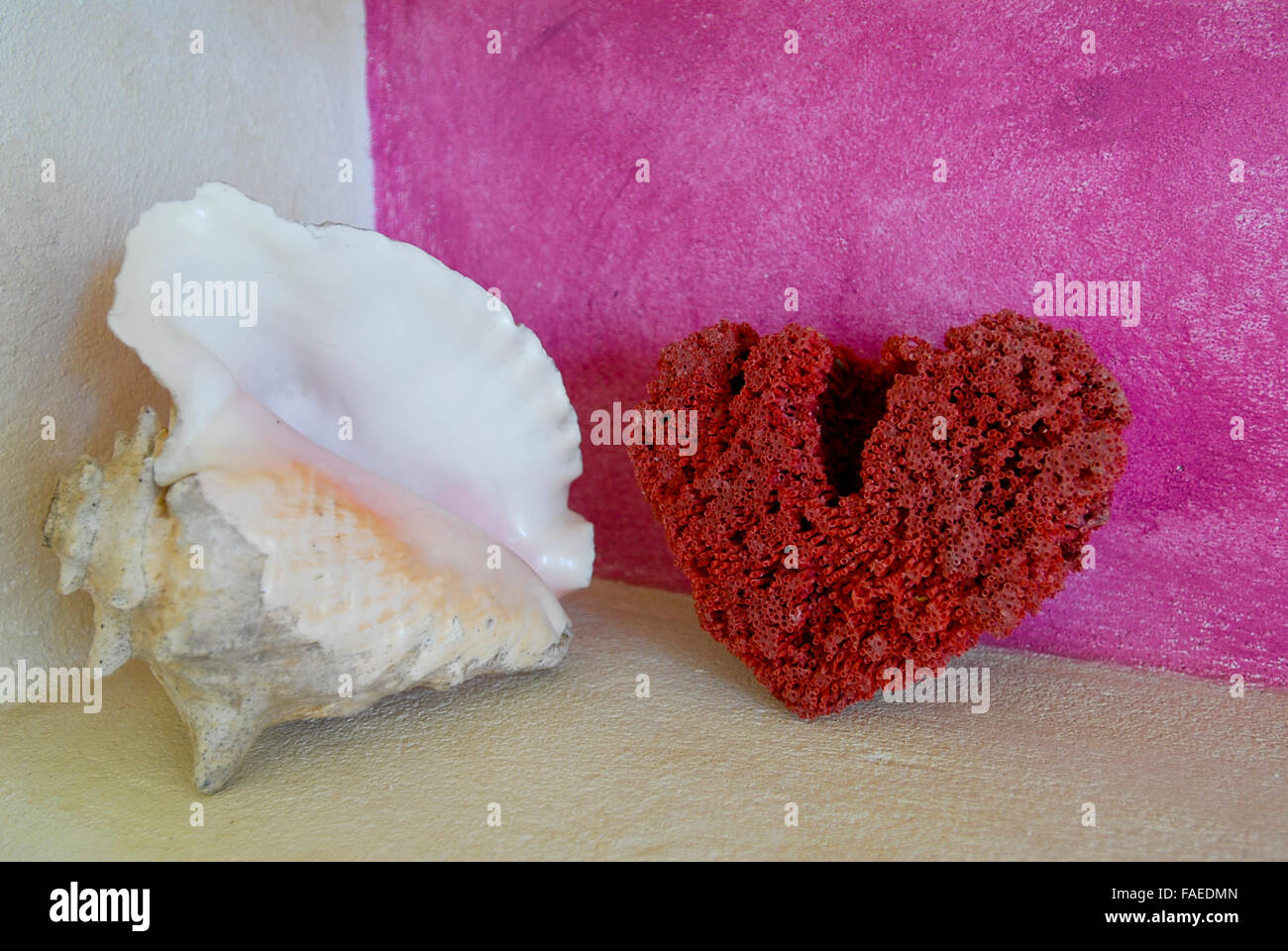 Seashell and red coral heart on shelf in Mexican home Stock Photo - Alamy