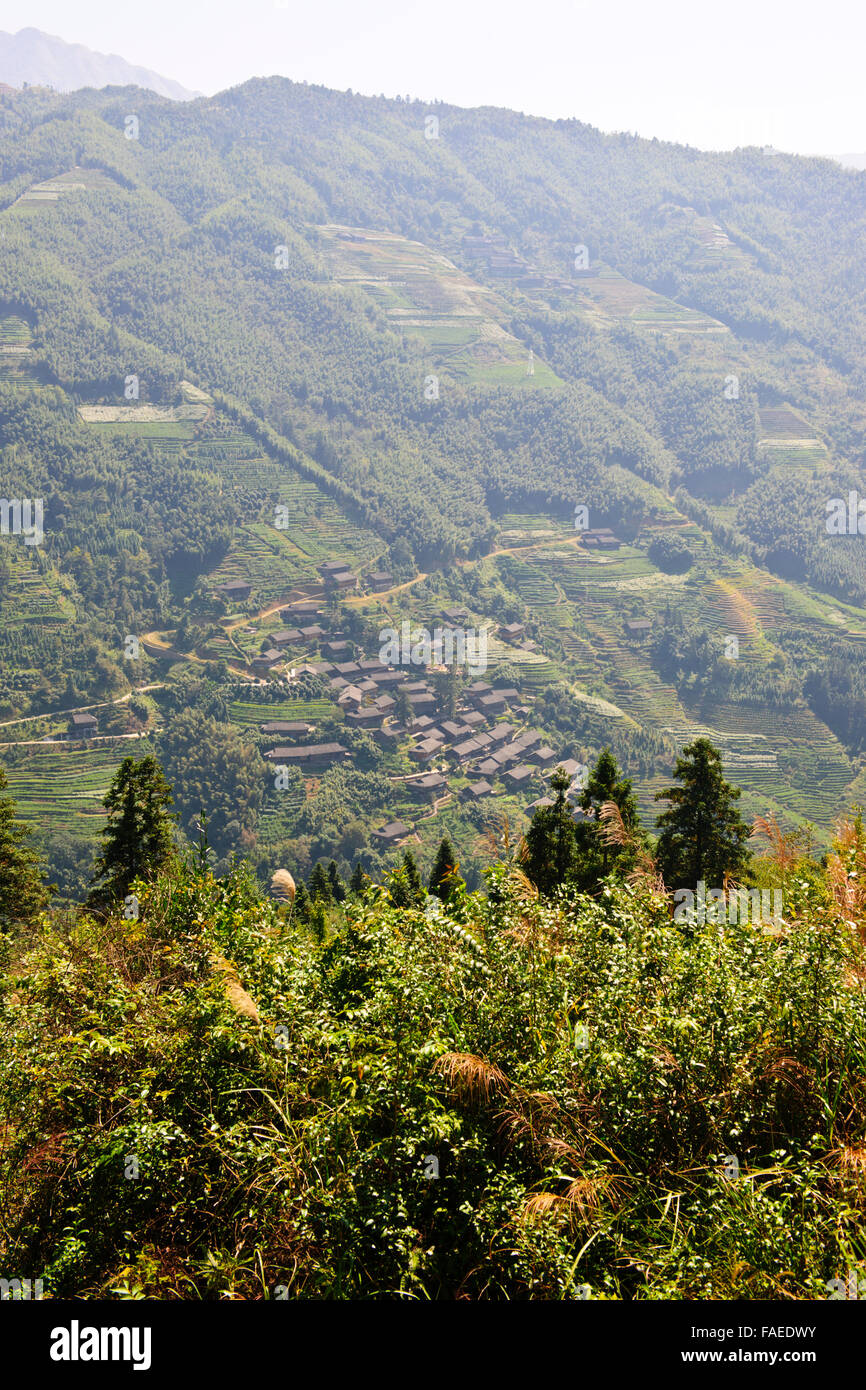 Longji Rice Terraces,Dazhai Villages, Surrounding Area,Rice Crops ...