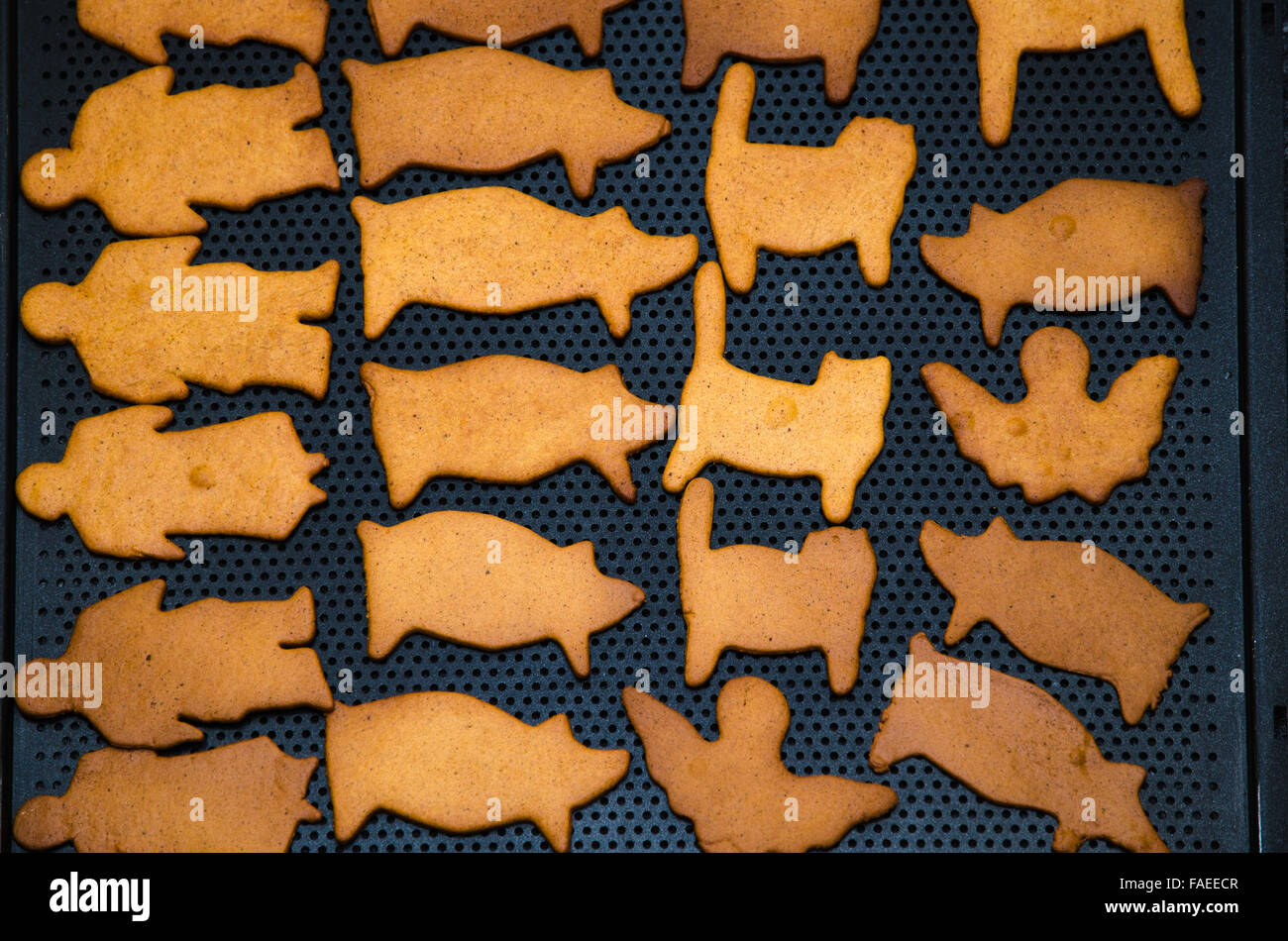 Newly homemade gingerbread figures on a baking sheet Stock Photo - Alamy