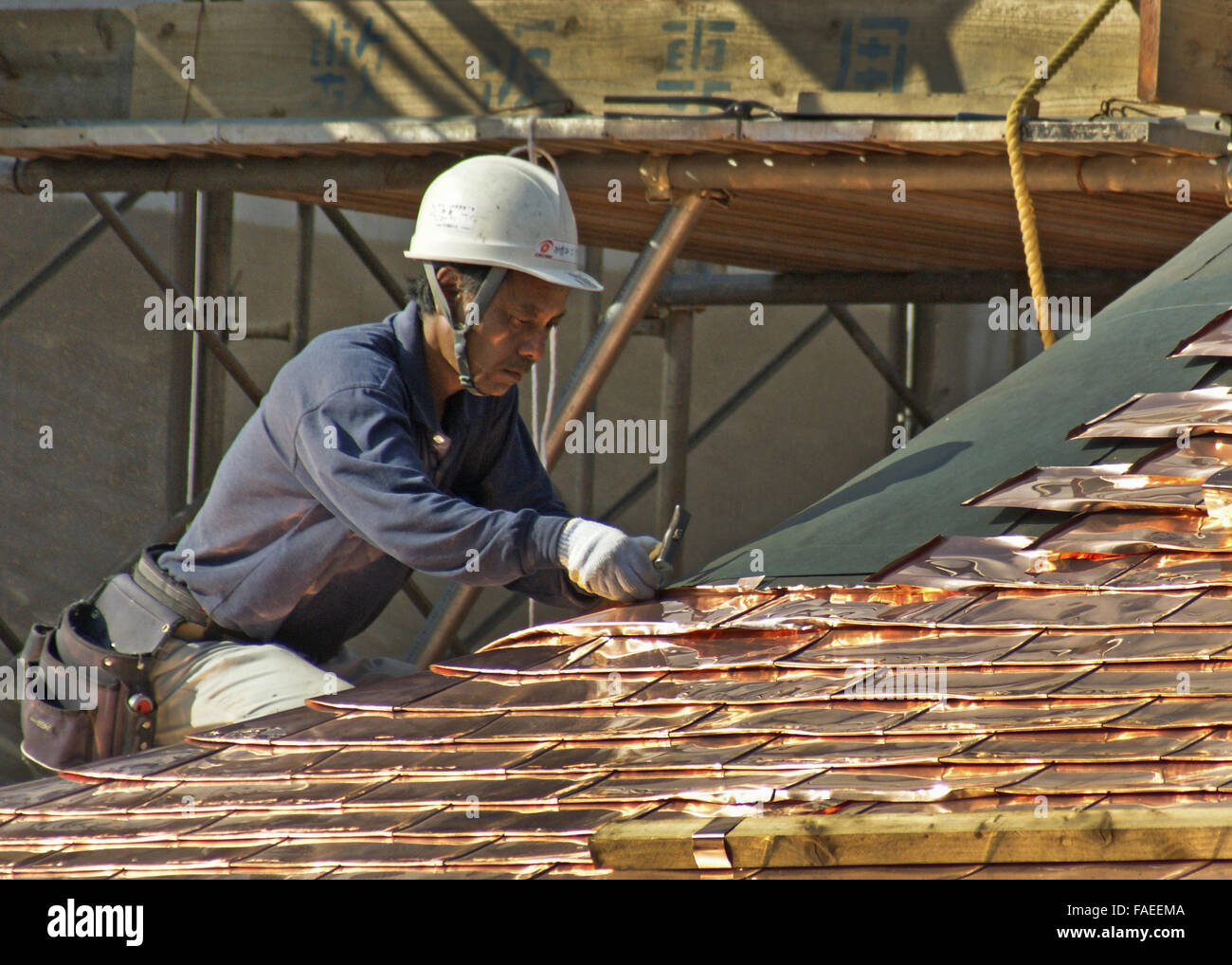 Workman laying new copper roof tiles that glimmer in the sun Stock ...