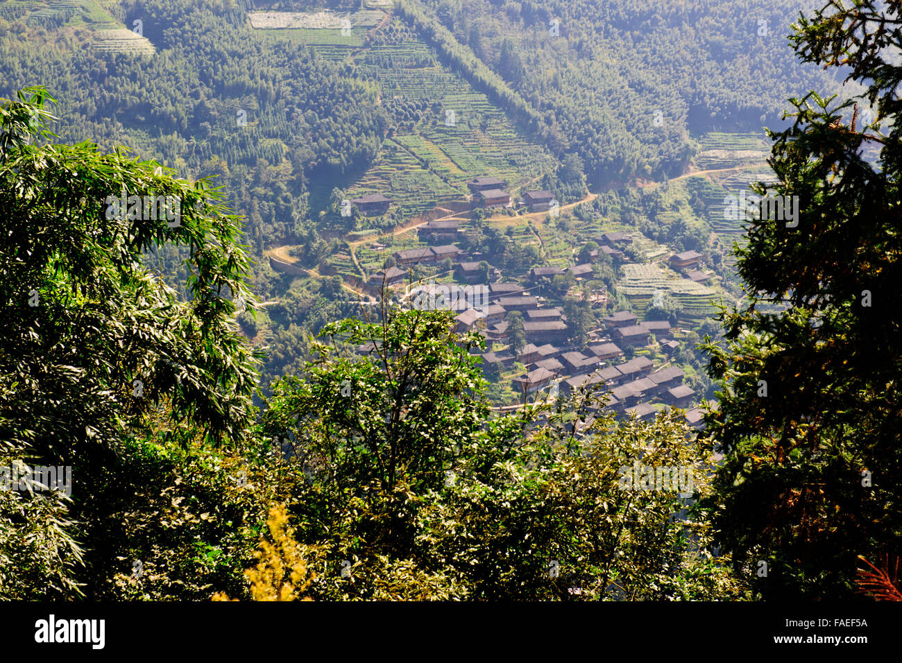 Longji Rice Terraces,Dazhai Villages, Surrounding Area,Rice Crops ...