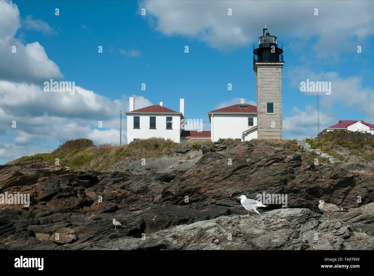 Beavertail hi-res stock photography and images - Alamy