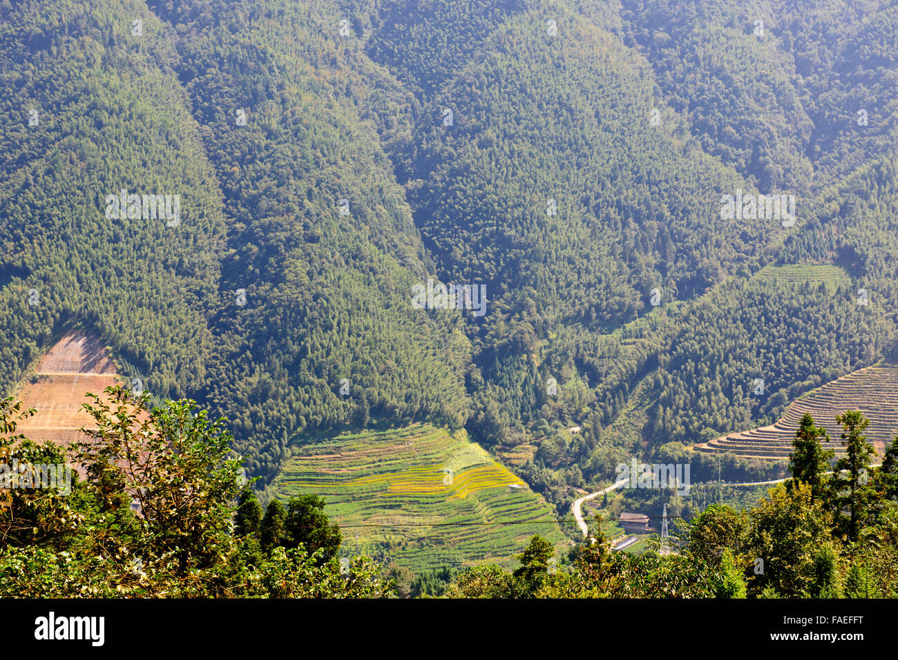 Longji Rice Terraces,Dazhai Villages, Surrounding Area,Rice Crops ...