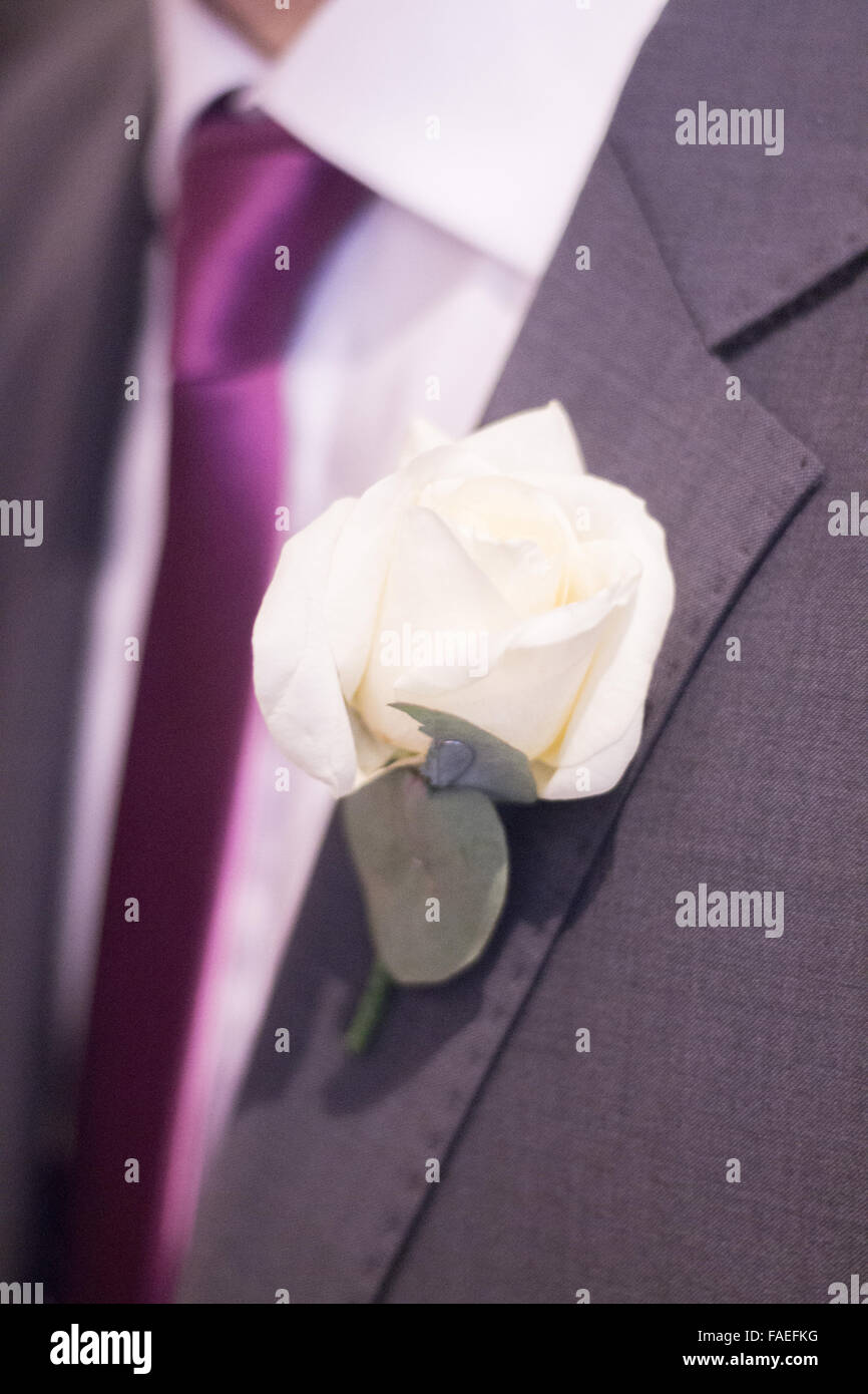 Bridegroom wedding rose flower in lapel pocket photo Stock Photo - Alamy