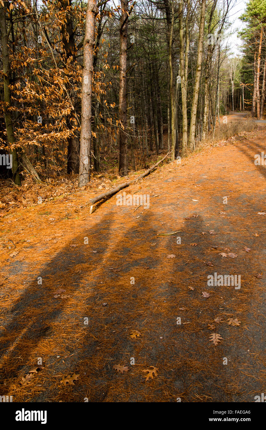 three human shadows on a country road Stock Photo - Alamy